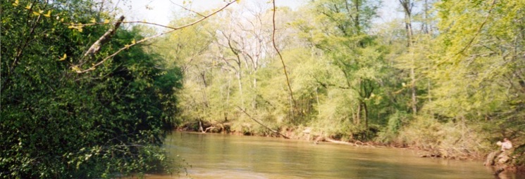 Georgia Scenes
